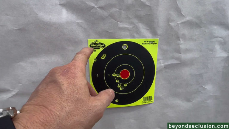Kel-Tec P17 – 360° Review | Beyond Seclusion